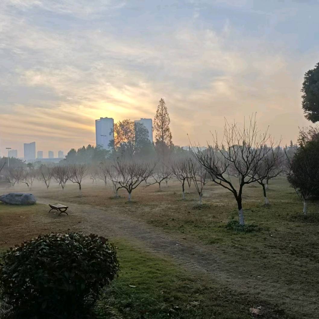 乔丹六次当选FMVP 却唯独96年未能全票加冕 哪些球员拿到了分票？_罗德曼_肖恩·坎普_芝加哥公牛