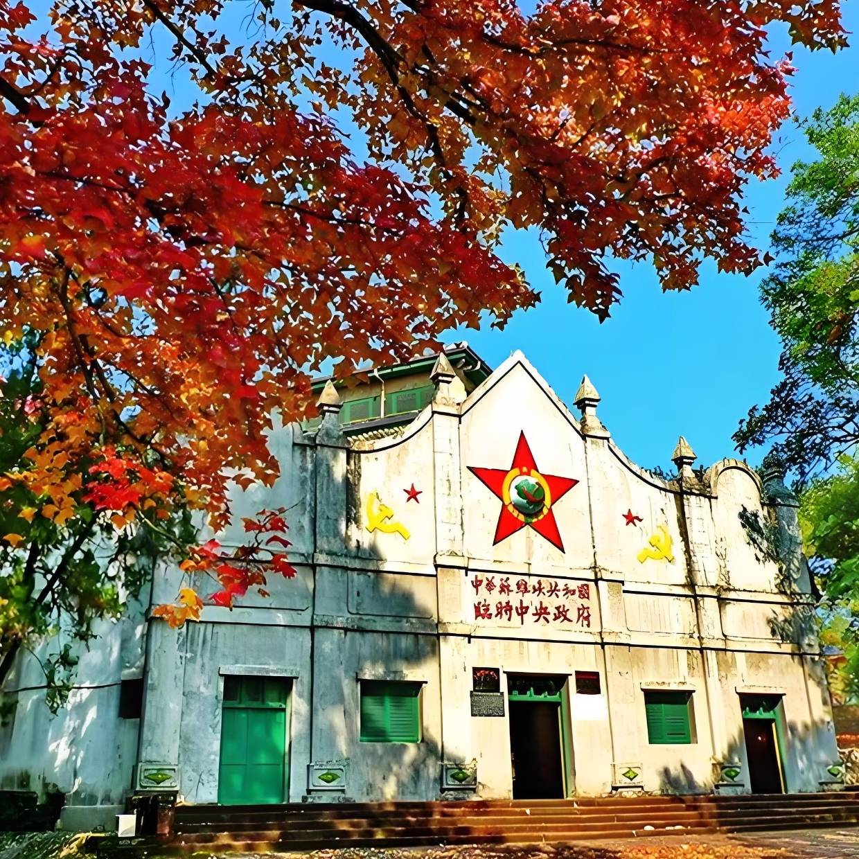 从零起步 瑞金赋能公益练为战促队伍筹建_救生圈_训练_落水者