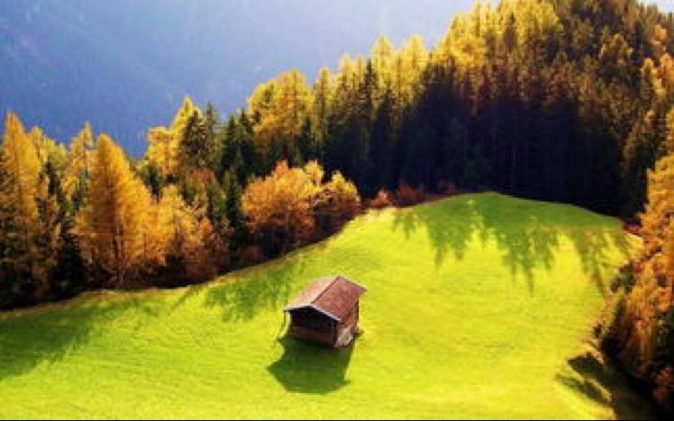 英语考试写12汉字白卷，就被央美破格录取，今一幅画卖3584万_陈丹青_高考_学子