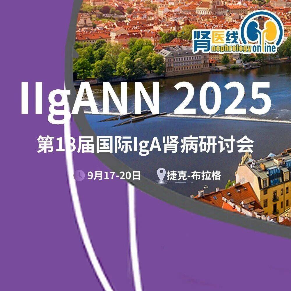 IIgANN 2025 | 肠道微生物与黏膜细菌在IgA肾病发病机制中的新见解_研究_免疫_抗体