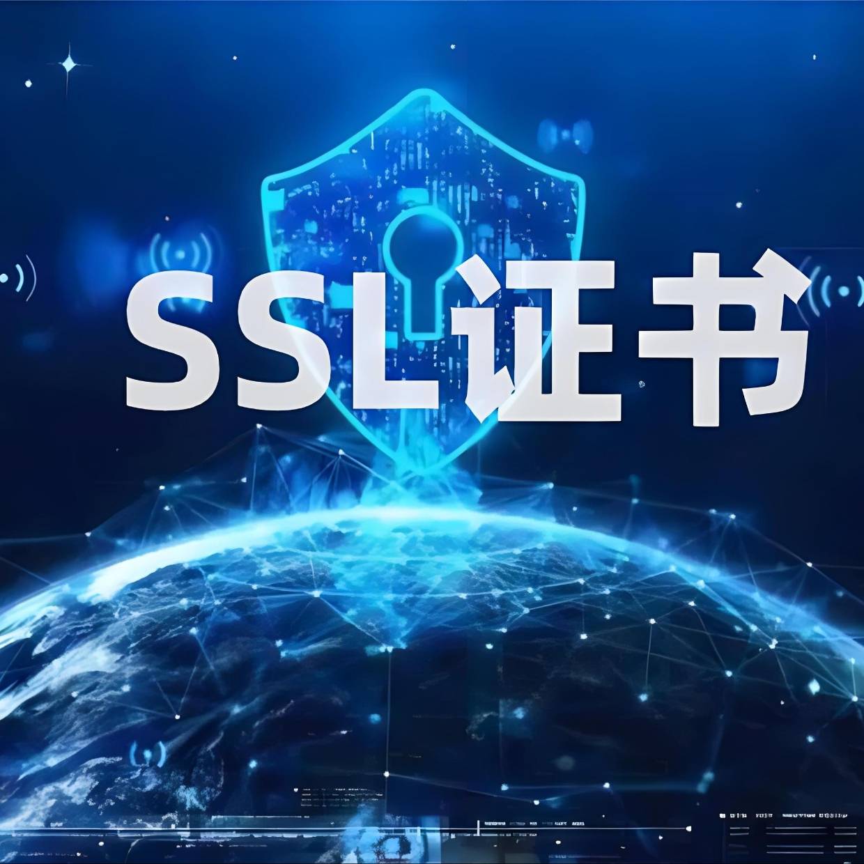 DVSSL证书性价比之王！另附申请途径_网站_加密_服务器之间