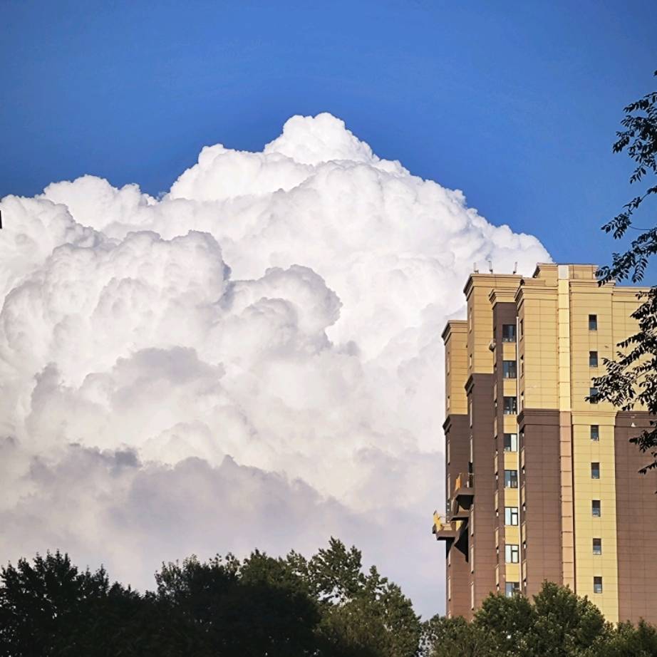 杯赛焦点战：蓝十字VS弗拉门戈——赛前深度剖析与比分前瞻_防守_进攻_战术