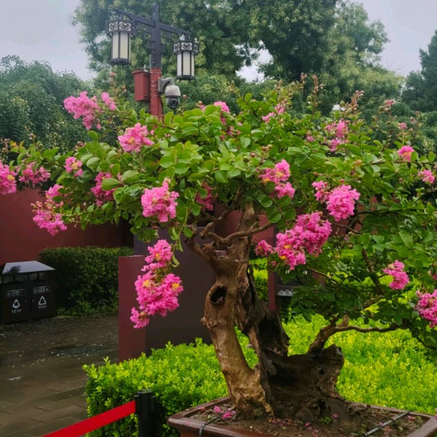 TVB台庆综艺疑突然抽起不播，42岁最佳男主角被节目除名引猜测_周奕玮_阿姐_汪明荃