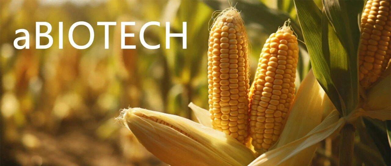 aBIOTECH | 全基因组复制和链特异性的共线性基因识别工具quota_Anchor上线_分析_物种_相关