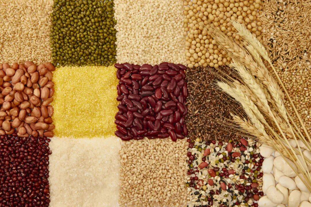 “减肥绊脚石”“血糖元凶”？其实TA可以是我们的好朋友_燕麦_蔬菜_膳食