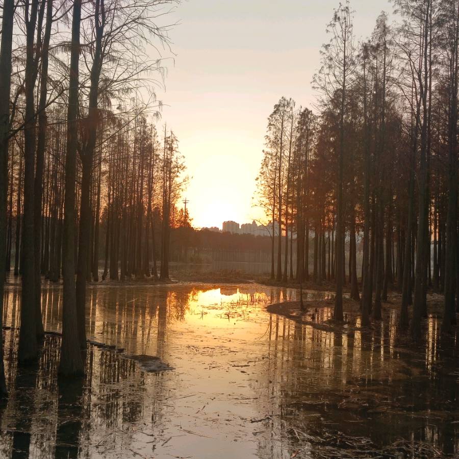 iQOO Z11 Turbo跑分突破359万分：这是骁龙8 Gen5最高分_高通骁_机身_芯片