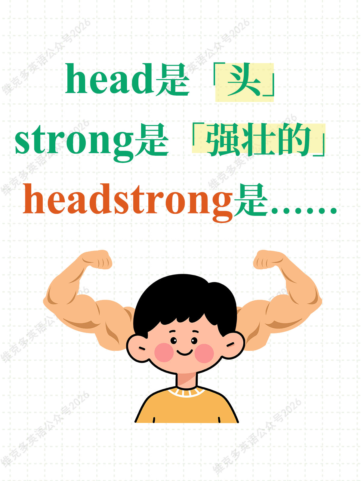 head是"头",strong是"强壮的",headstrong是_adj_adv_合成词