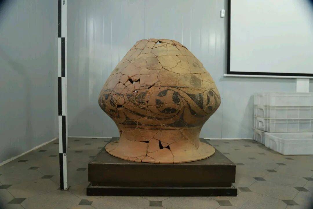 五千年前的夏朝王都惊现文字！入选全国十大考古发现，然后呢？_南佐_遗址_甘肃